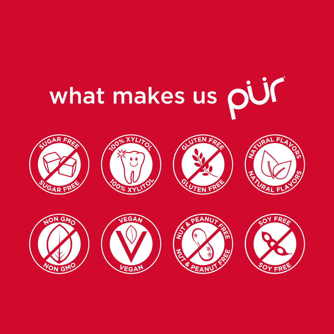 PUR Cinnamon Gum – The PUR Company