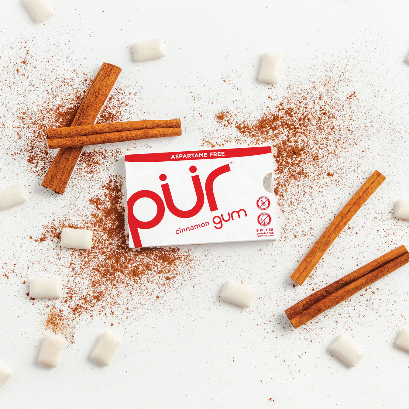 PUR Cinnamon Gum – The PUR Company